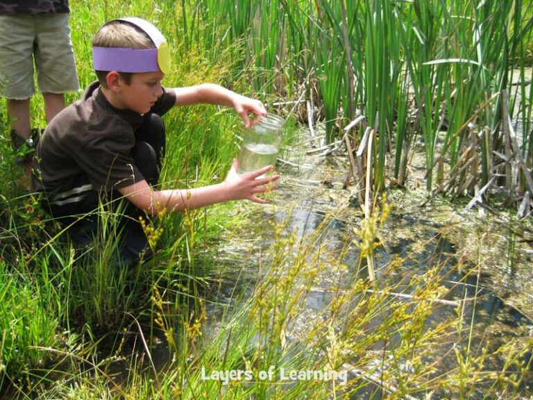 Algae and Pollution Experiment - Layers of Learning
