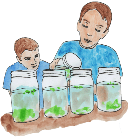 Algae and Pollution Experiment - Layers of Learning