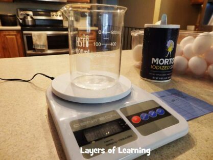 Floating Eggs Experiment - Layers of Learning