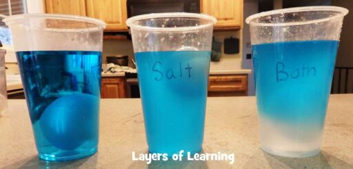 Floating Eggs Experiment - Layers of Learning