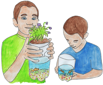 Pop Bottle Ecosystem