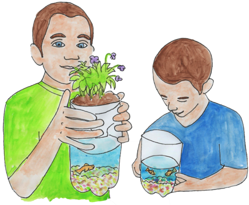 Pop Bottle Ecosystem