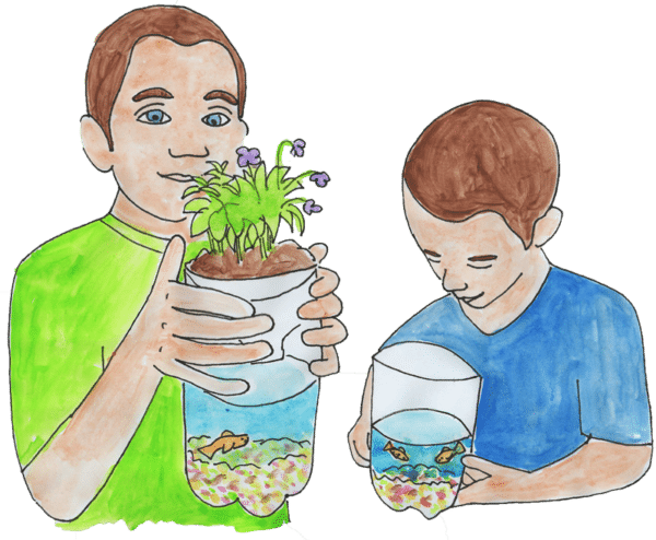 Pop Bottle Ecosystem