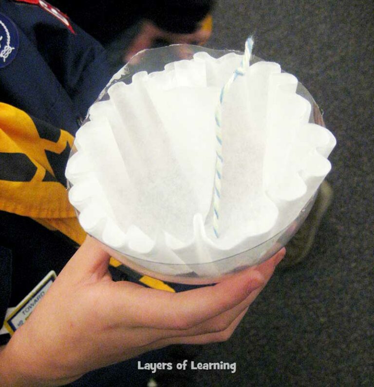 Pop Bottle Ecosystem