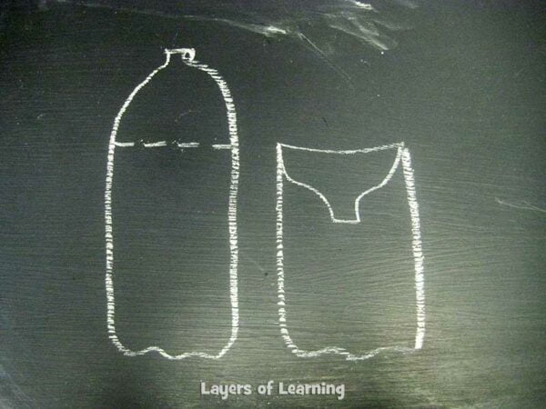 Pop Bottle Ecosystem