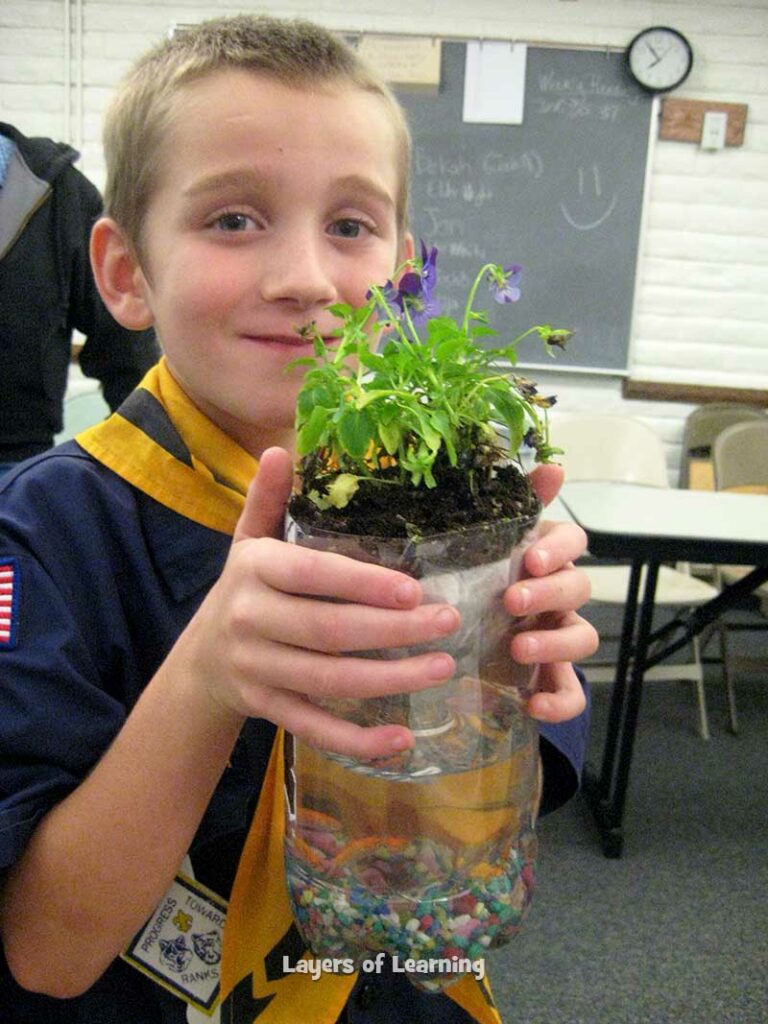 Pop Bottle Ecosystem