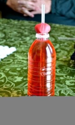 Homemade Thermometer and Barometer - Layers of Learning