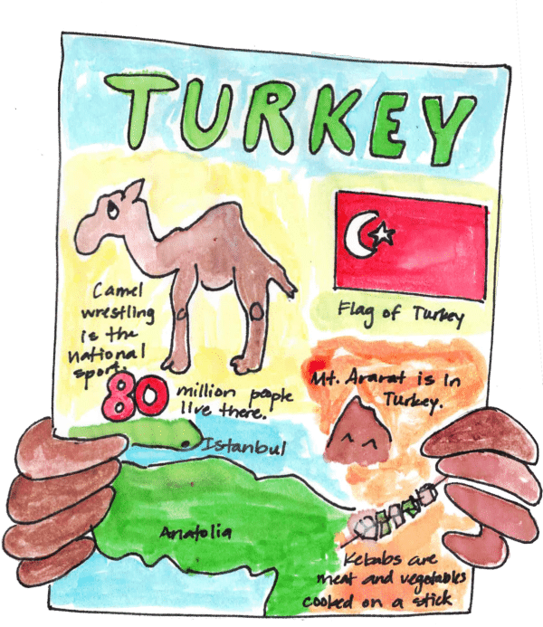 Easy Illustrated Fact Sheets For Any Subject - Layers of Learning