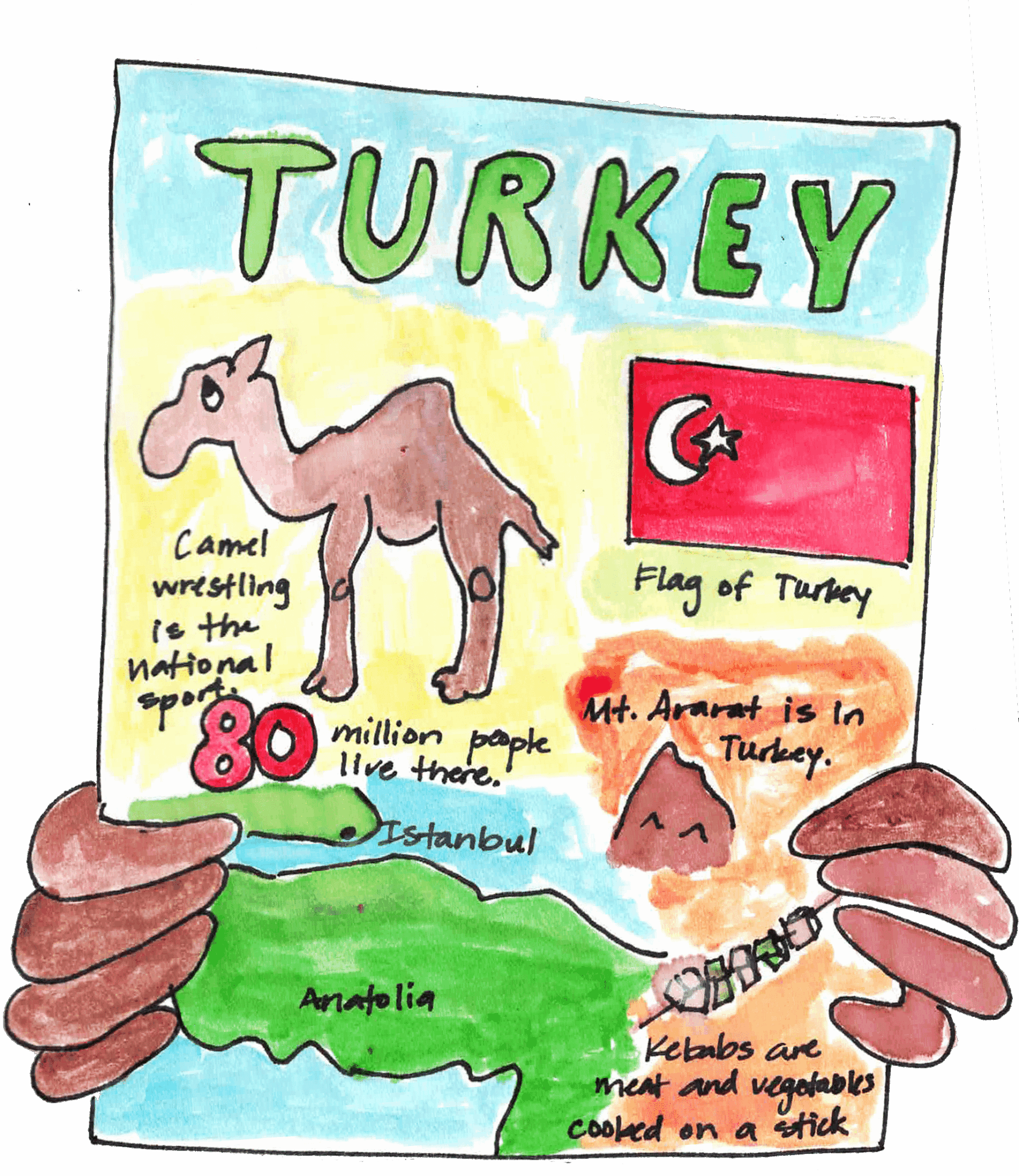 Easy Illustrated Fact Sheets For Any Subject Layers Of Learning
