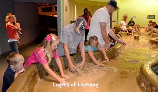 Homeschooling an Extrovert - Layers of Learning