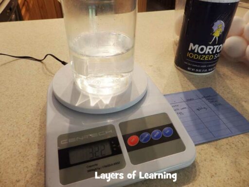 Floating Eggs Experiment - Layers of Learning