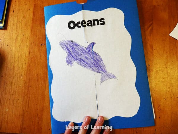 Ocean Floor, Ocean-In-A-Bottle, and Ocean Lapbook - Layers of Learning