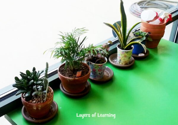 Exploration Stations - Layers of Learning