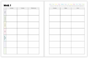 Editable PDF Mentor Planner | Layers of Learning