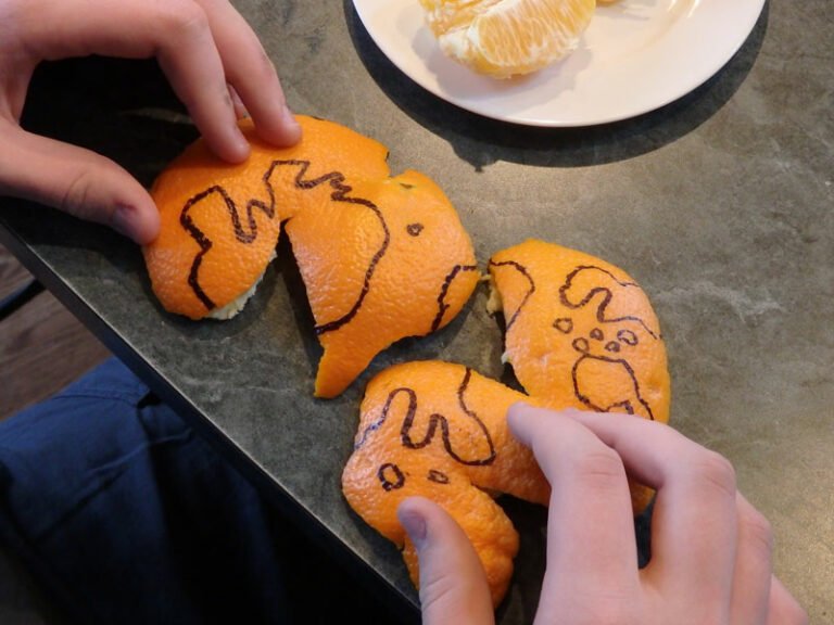 Curriculum Guide for Layers of Learning