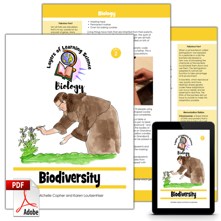 Science Notebook PDF - Layers of Learning