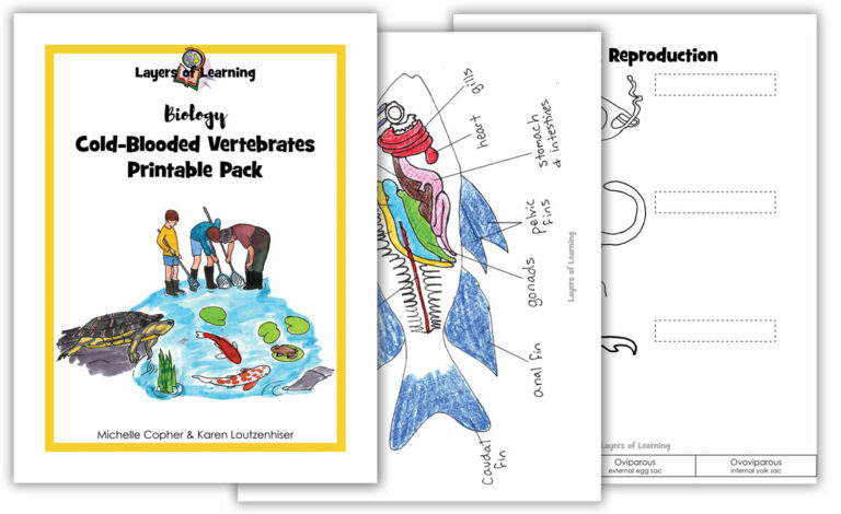 Cold-Blooded Vertebrates PDF - Layers of Learning