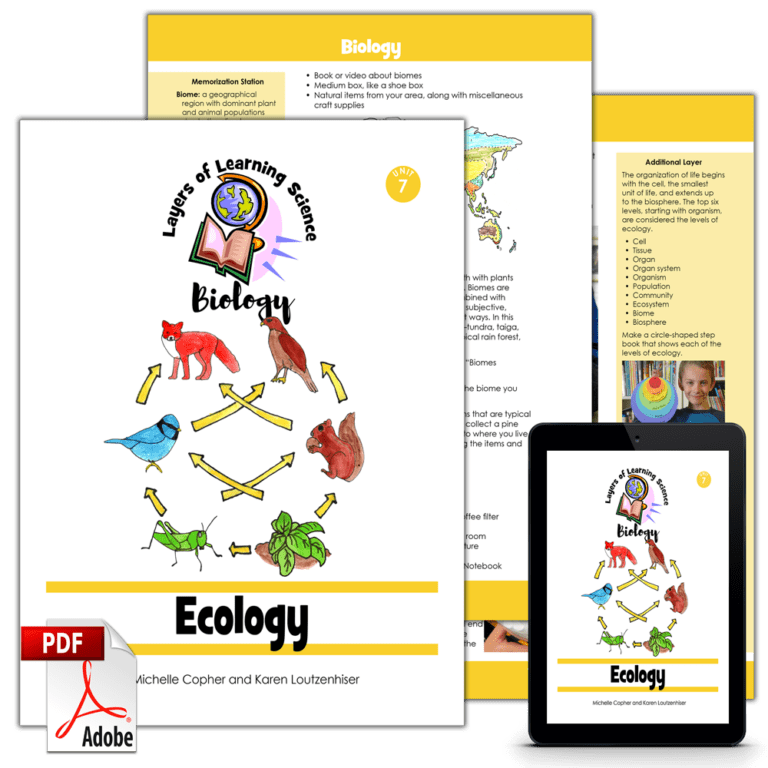 Pop Bottle Ecosystem