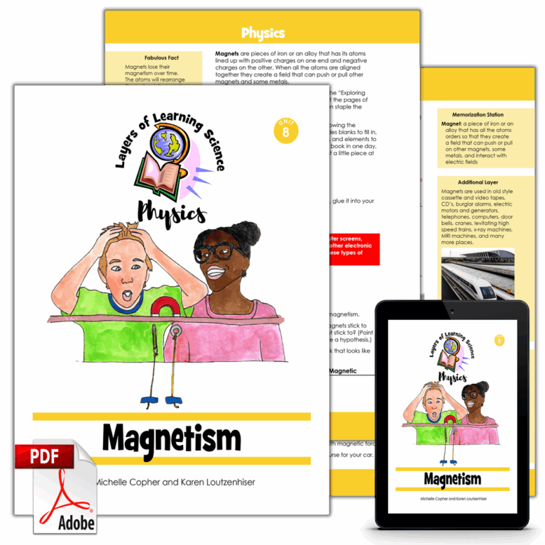 Magnetism and Learning About Magnets - Layers of Learning